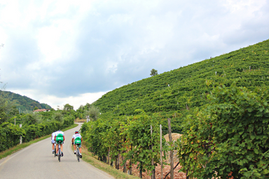Cycling Holidays Italy•Veneto: Prosecco route | 7 days | Self-guided
